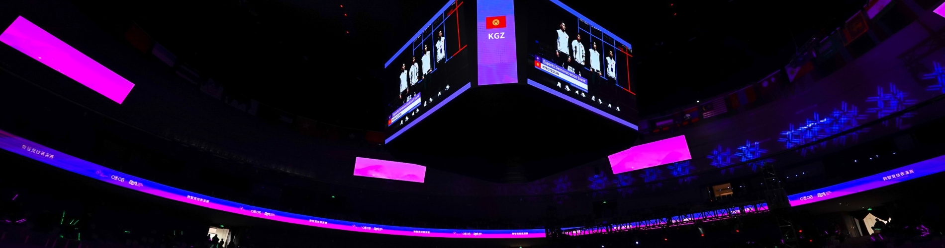 Home - Asian Electronic Sports Federation