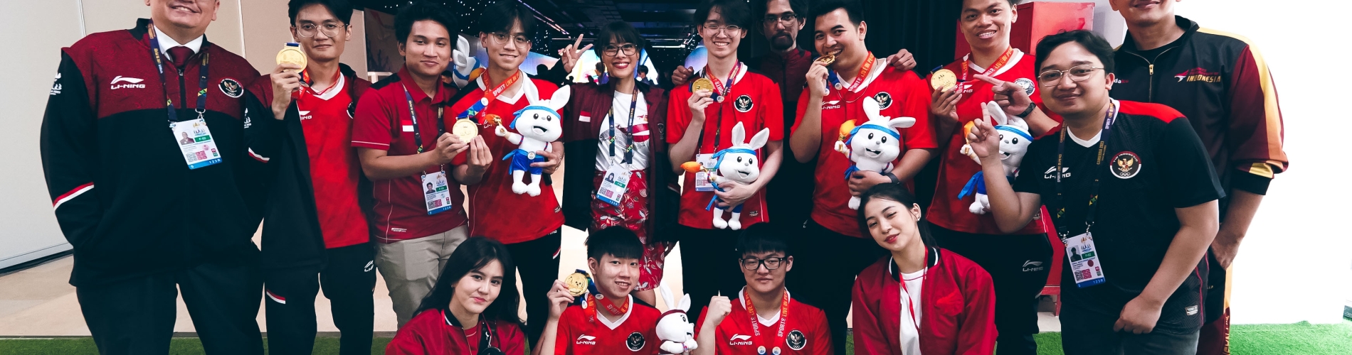 Home - Asian Electronic Sports Federation