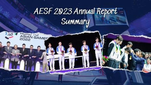 Home - Asian Electronic Sports Federation